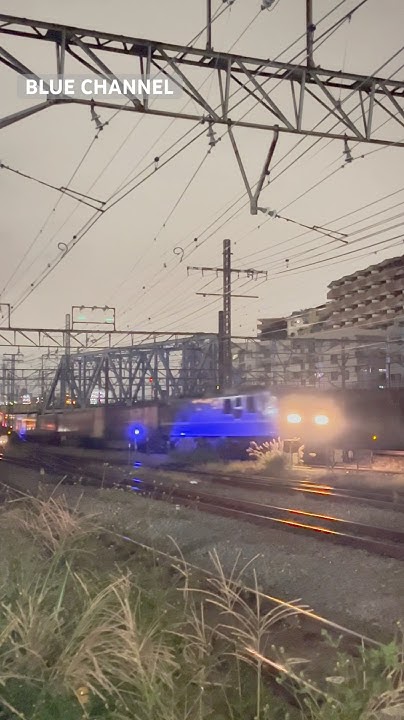(貨物列車) 2024/10/25 2060レ EF210-126 + コキ22B (安治川口〜東京タ) #Shorts - YouTube