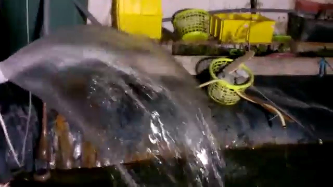 Waterfall oxygenation and water mixing effect - YouTube