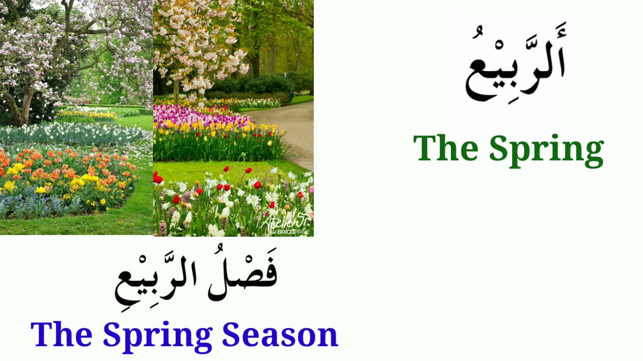 Seasons in Arabic. Learn the seasons of the year in Arabic.فصول السنة ...
