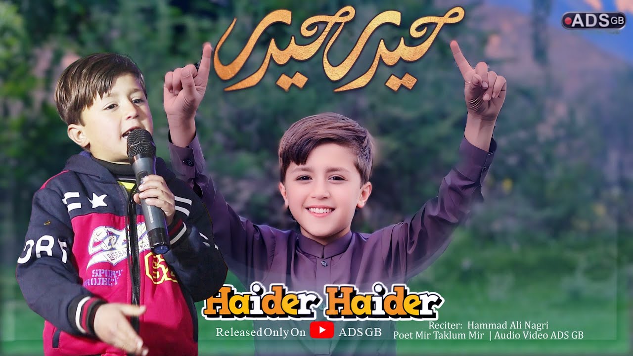 HAIDER HAIDER || HAMMAD NAGRI MANQABAT | Heartfelt Tribute to Imam Ali ...