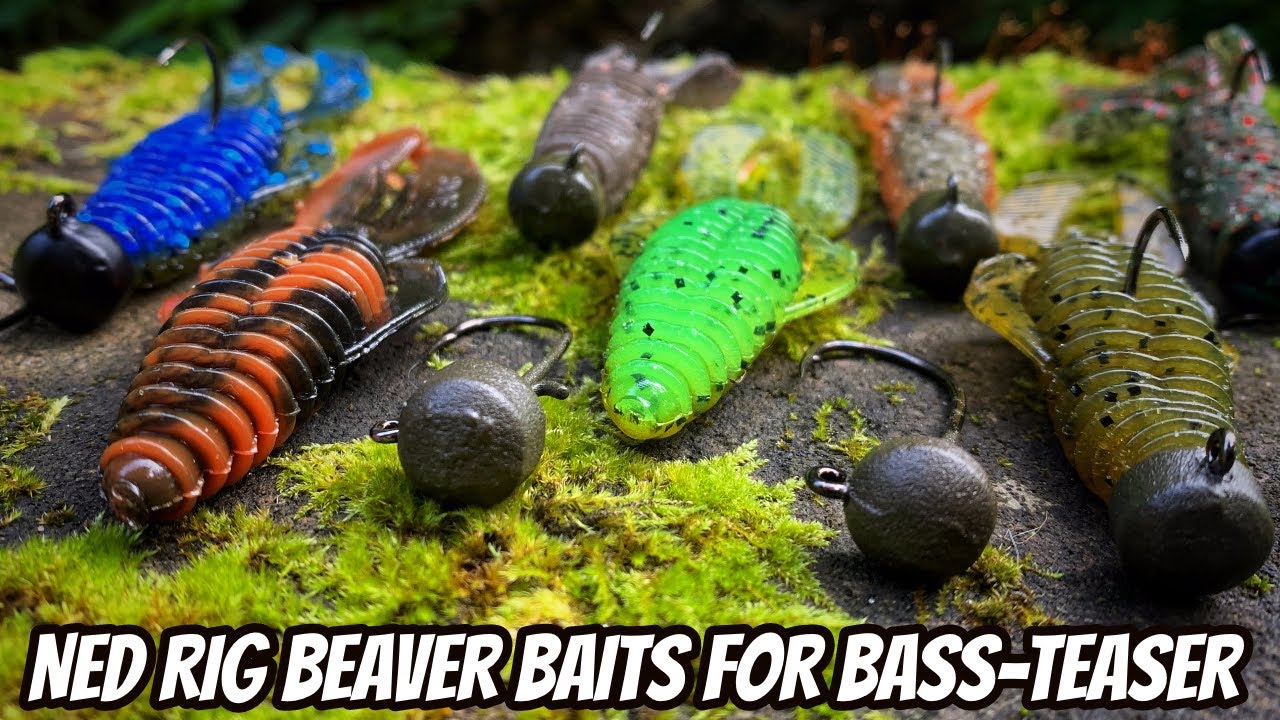 NED RIG BEAVER BAIT-Teaser - YouTube