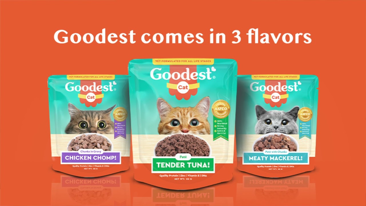 Chompy, Tender, Meaty! | Goodest Cat - YouTube