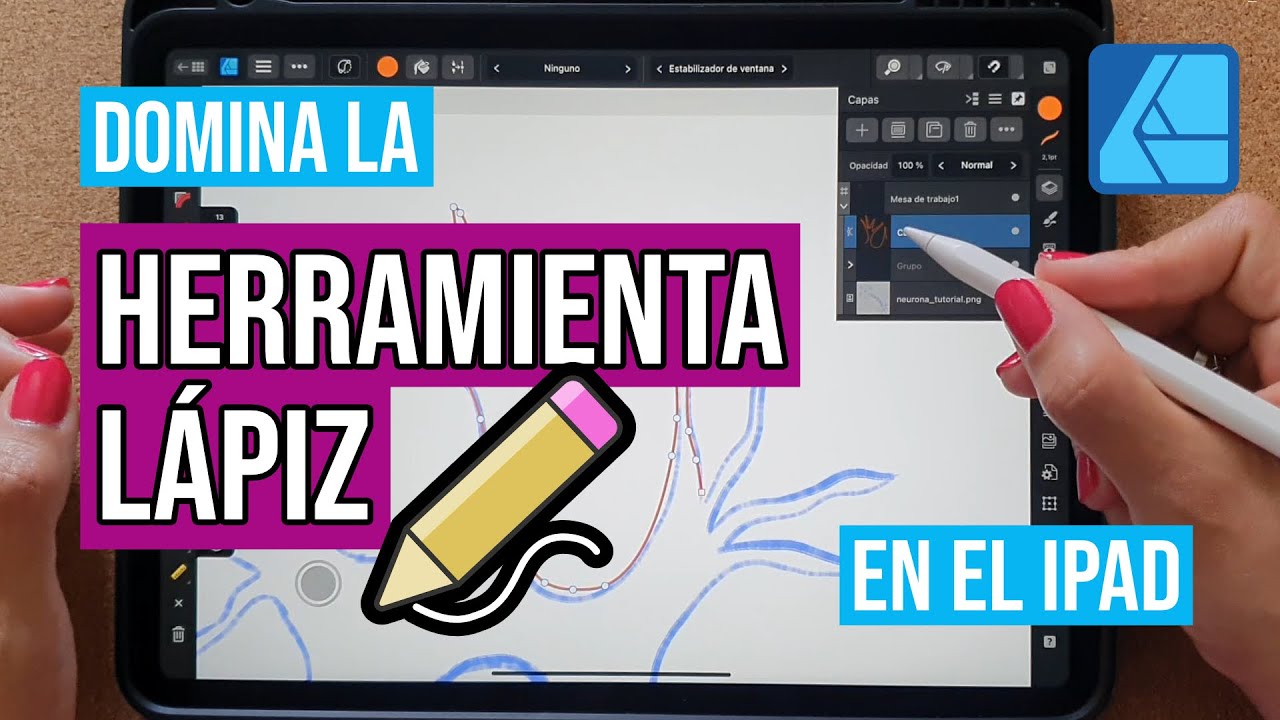 TODO lo que necesitas saber sobre la HERRAMIENTA LAPIZ - Tutorial Affinity Designer iPad - YouTube