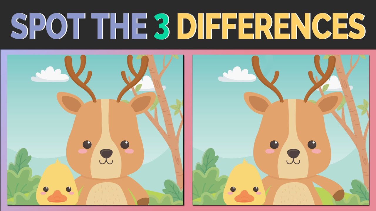 Spot the Difference | Are You Ready? 🎉 | 014 - YouTube