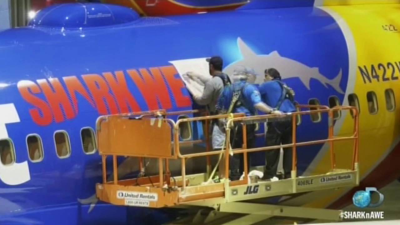 Discovery Shark Week Southwest - YouTube