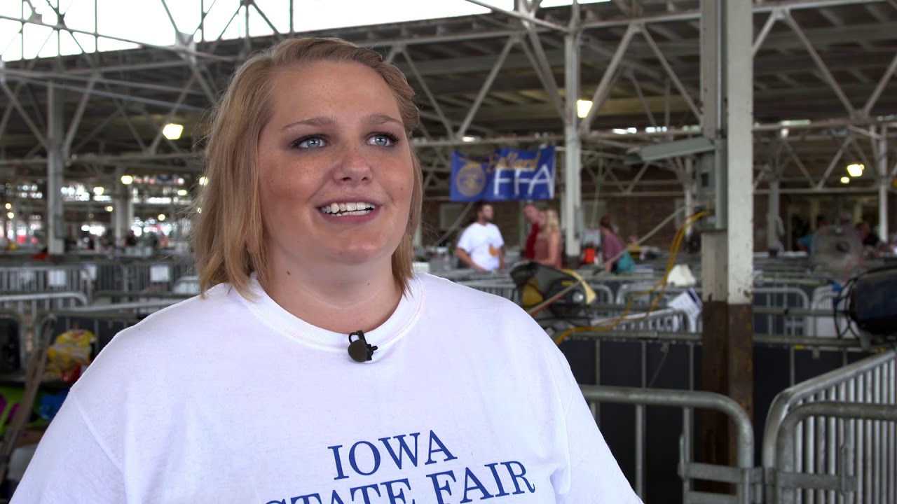 Iowa State Fair Show Pig Barn - YouTube