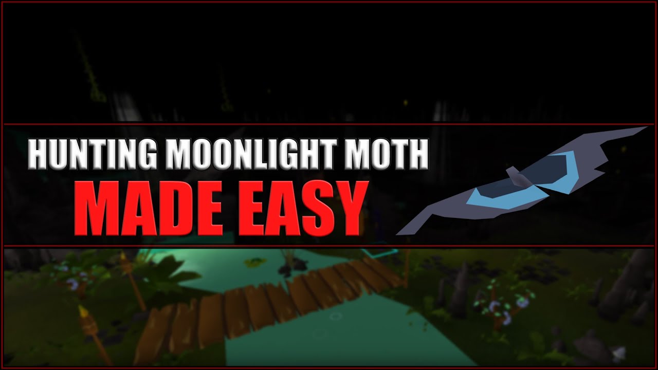 Quick Guide to Hunting Moonlight Moths in OSRS | Hunter Guide | Hunters ...