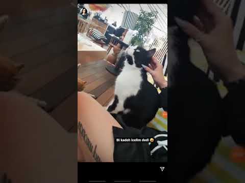 Naz mila bugün paylaştığı syoryeler! Sonuna kadar izleyin!