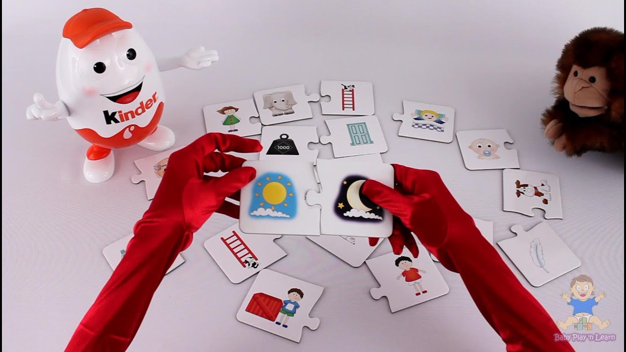 Learn the Opposites - Matching Game with Monkey (Part 1) - YouTube