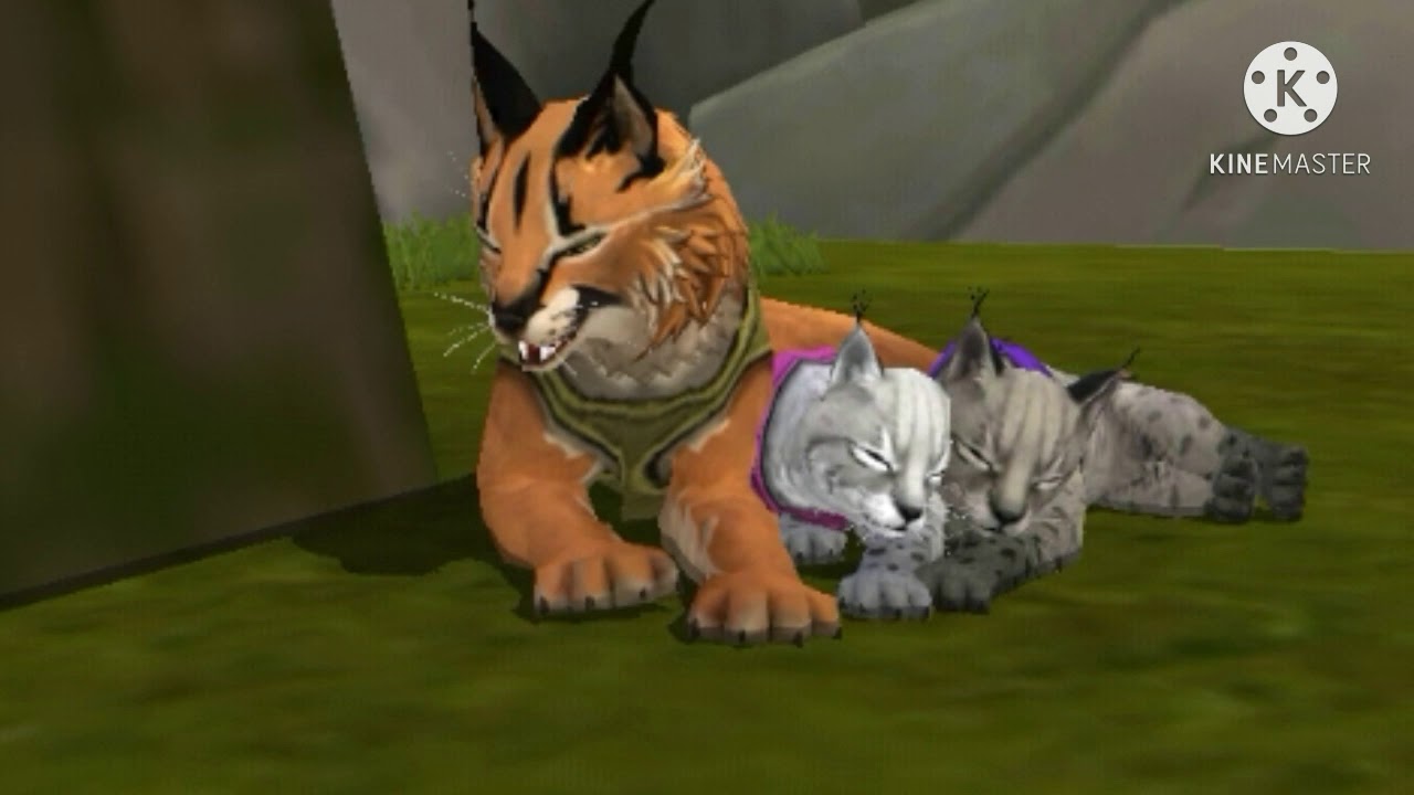 Wildcraft: A sad Lynx Story - YouTube