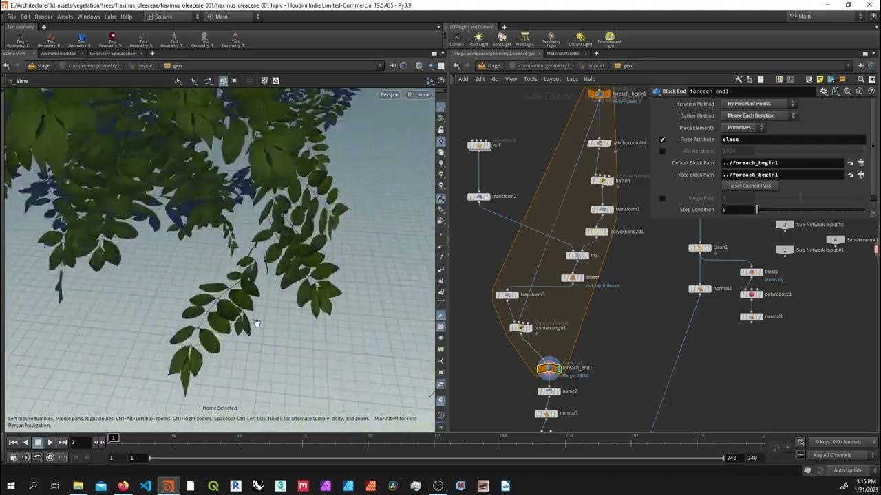 Houdini | Converting opacity based leaves to clean geometry with UV deformation. - YouTube