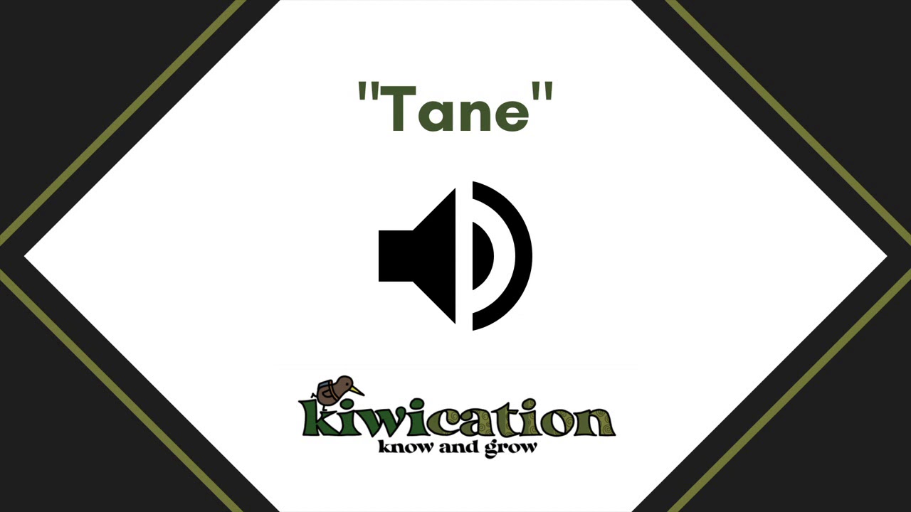 How to Correctly Pronounce ''Tane' in Te Reo Māori - YouTube