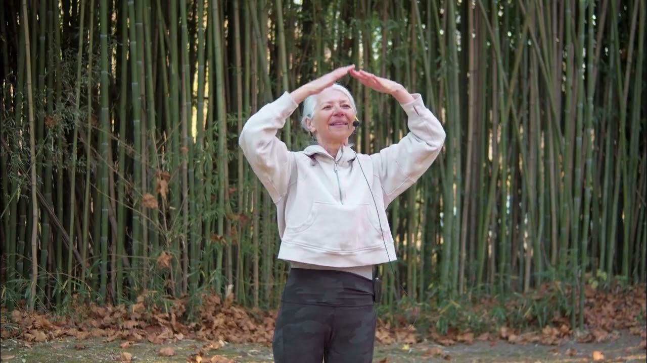 TAI CHI | SIMPLIFIED 24 | LESSON 11 - YouTube