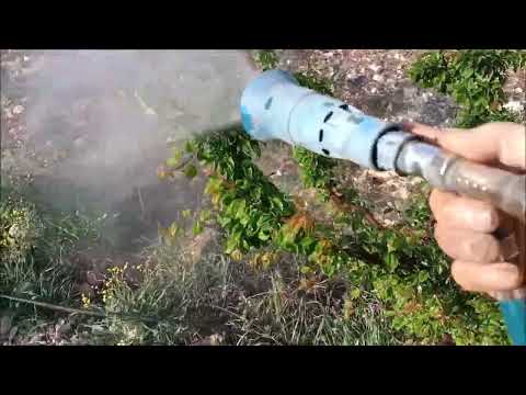 Can Erik Bahçesi İlaçlama. Erik Bahçesine Nasıl İlaç Verilir.(Can Plum Orchard Spraying)