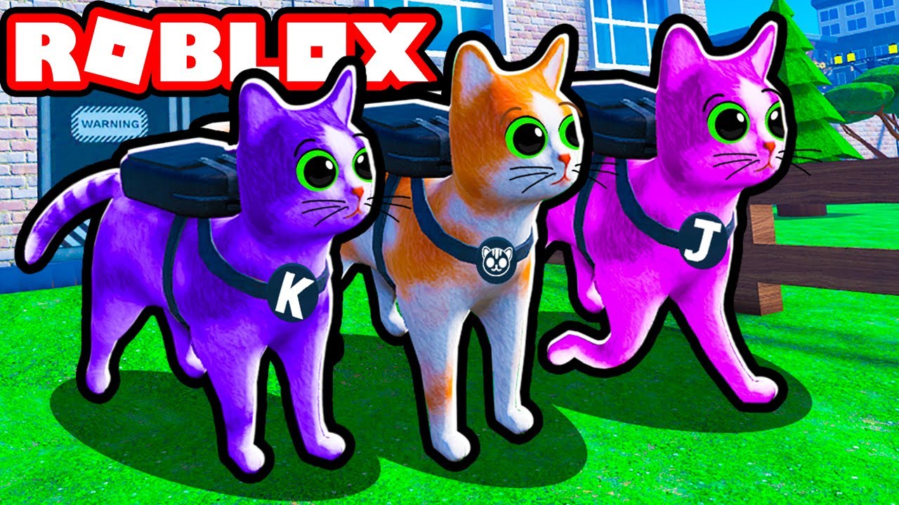 Cat Package Delivery Service Obby! | Roblox - YouTube