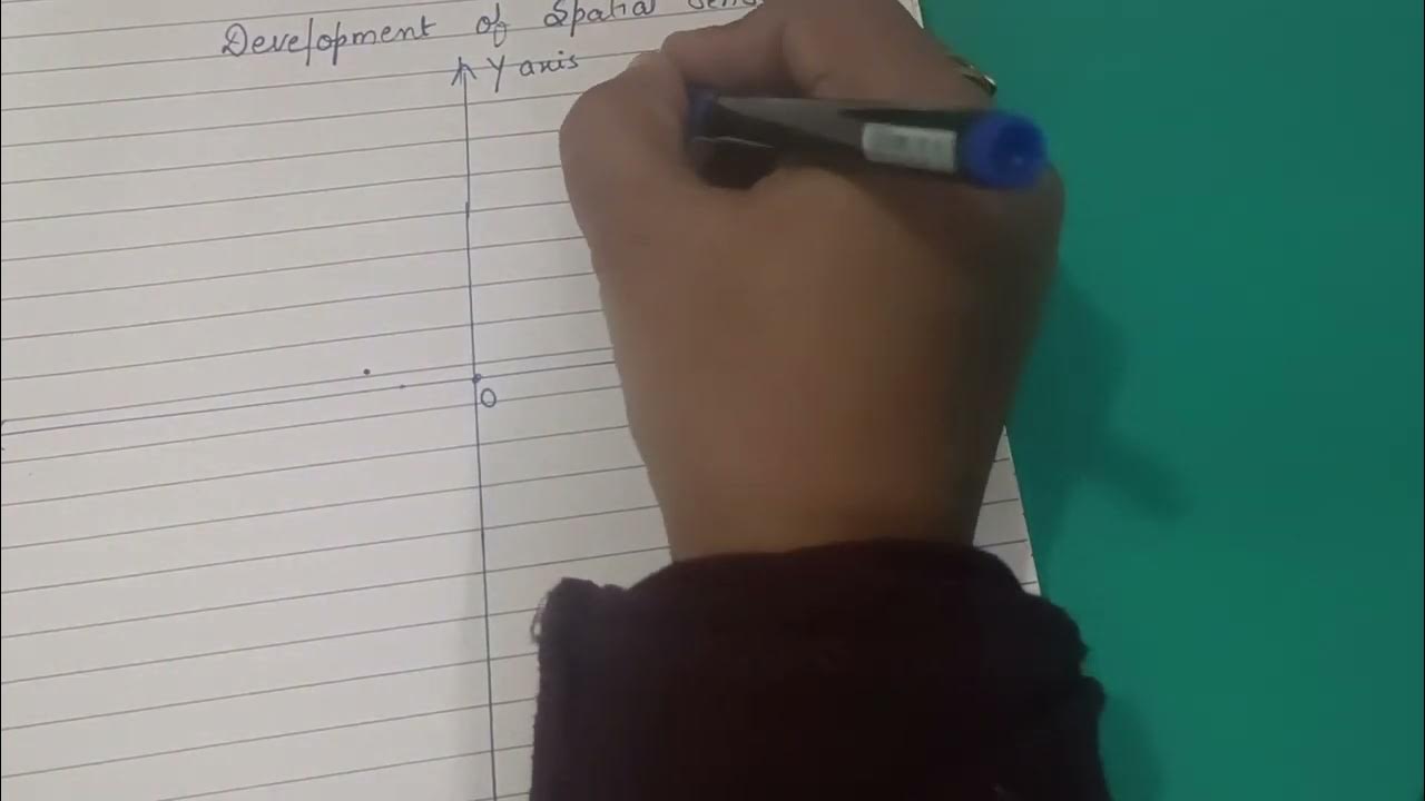 Introduction to Graph/ Class 8/ Concept Introduction/Quadrants/ CBSE/ ICSE - YouTube