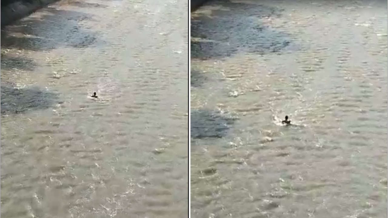 Nadar en el río Medellín se vuelve cada vez más frecuente - YouTube