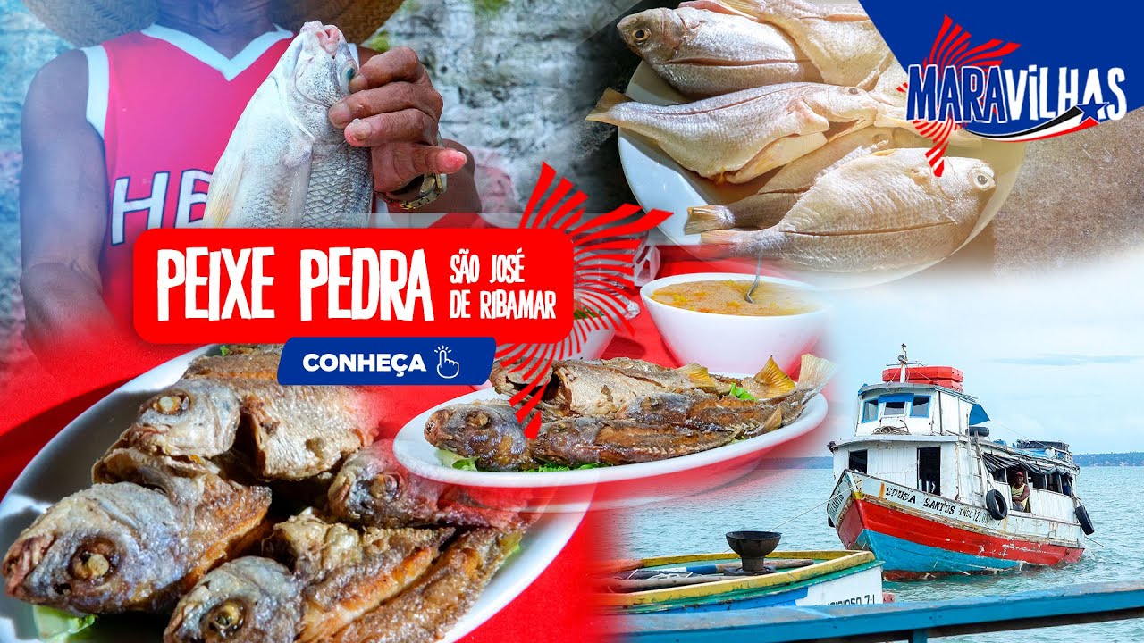 MARAvilhas da culinária: Peixe Pedra de São José de Ribamar - YouTube