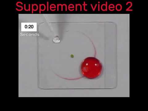 Supplemental video: A live cell imaging device for Arabidopsis - YouTube