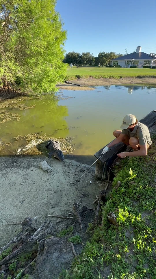Hooked my ball down by the water, Damn Alligator bit my hand off # ...