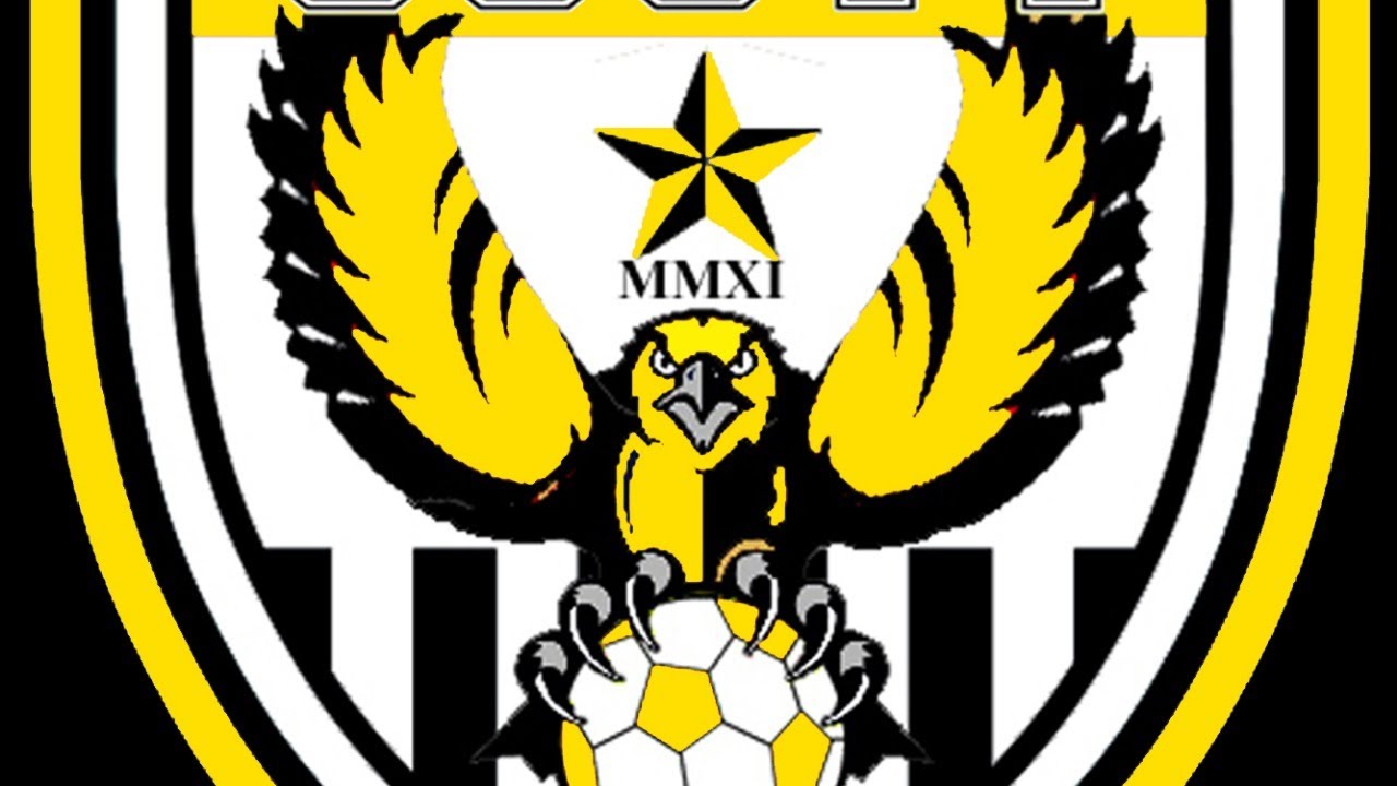 Scott High Skyhawks Boy's Soccer Sectional Tourn vs. Winfield 10-24 ...