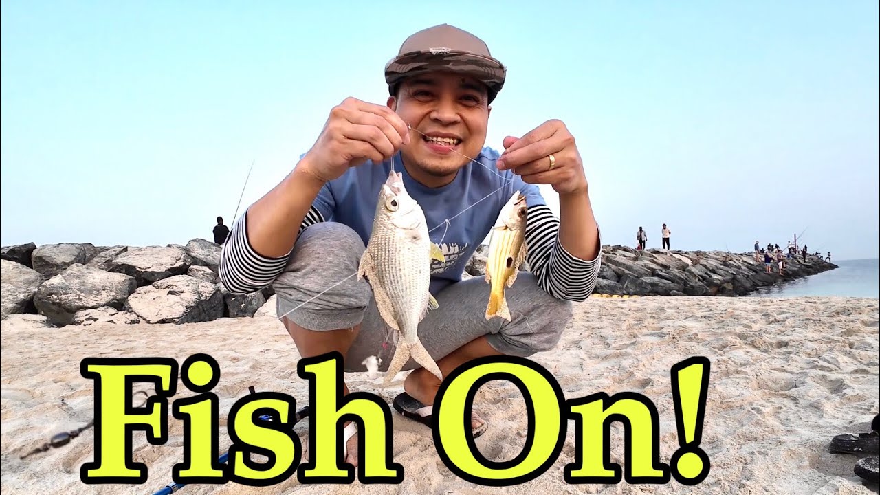 AL SUFOUH BEACH FISHING KABAYAN - YouTube