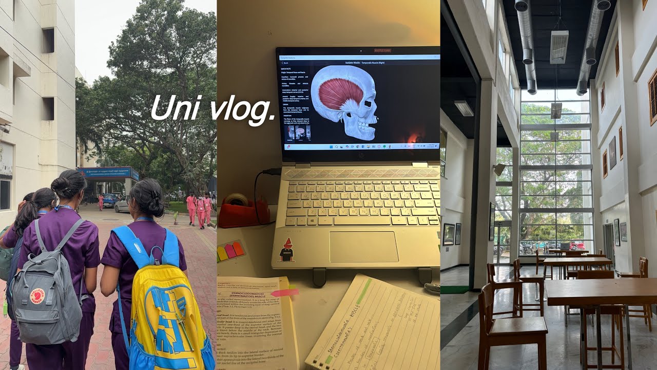 College - YouTube