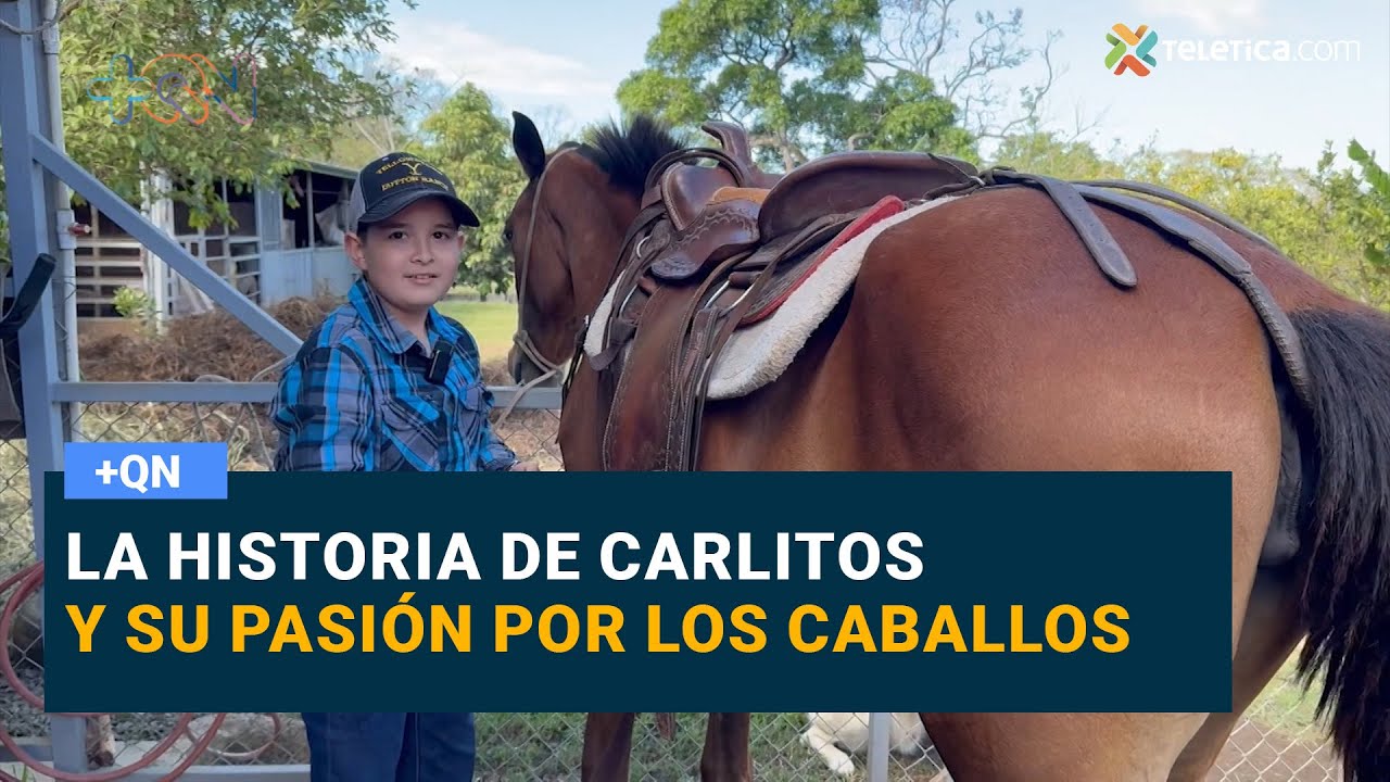 La historia de Carlitos y su pasión por los caballos - YouTube