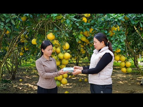 Yerel pazarda greyfurt satan Han, iyi kalpli bir kadınla tanışır ve bir mucize gerçekleşir