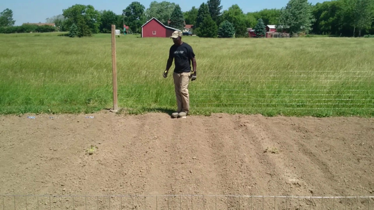 ECHO TC210 Tiller Cultivator and PAS 260 Lawn Dethatcher Part 2 - YouTube