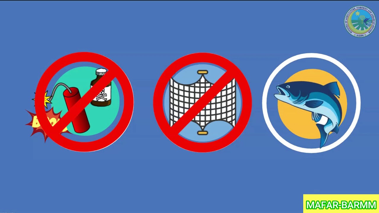 FISHERIES INFO | RA 10654 (Maguindanaon) - YouTube