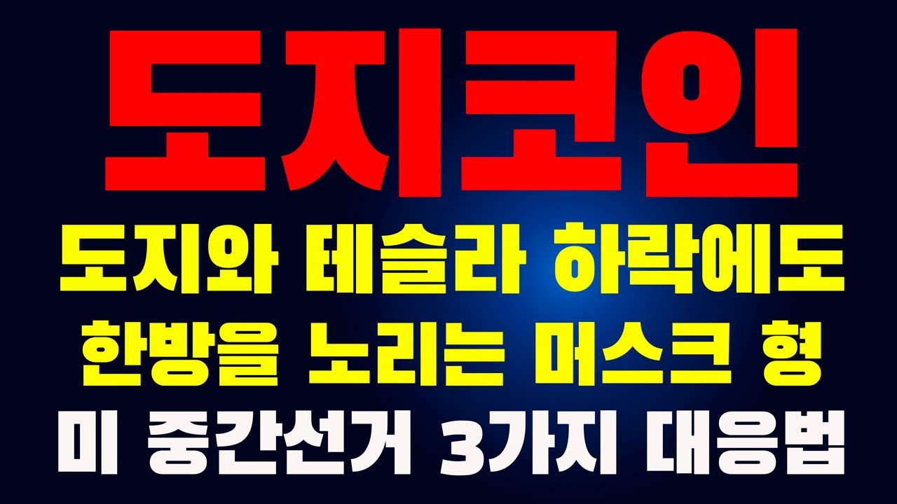 도지코인 도지와 테슬라 하락에도 한방을 노리는 머스크 미 중간선거에 따른 3가지 대응법 알려드립니다 일론머스크 트위터