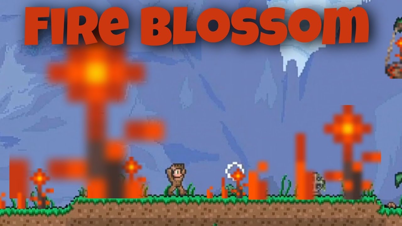 TERRARIA : TUTORIAL on fireblossom and its seeds - YouTube