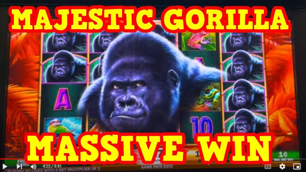 ★MASSIVE WIN★ MAJESTIC GORILLA SLOT | Slot Machine Bonus - YouTube
