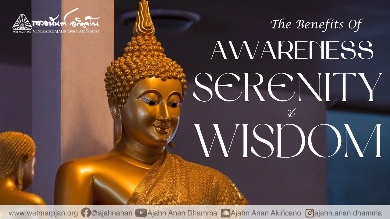 The Benefits of Awareness, Serenity & Wisdom | Friday Dhamma | 28 June ...