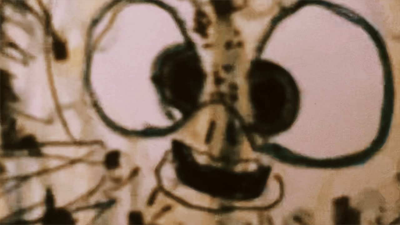 Puffer Face - Jeremy Classic Show song - YouTube