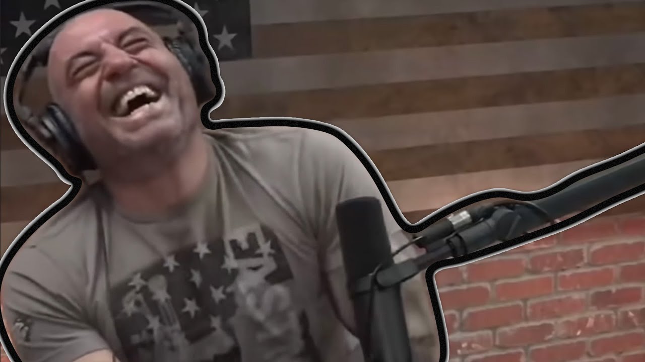 Joe Rogan Laughing Hysterically - YouTube