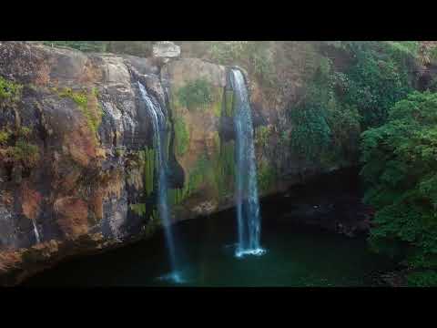 Lush Jungle Waterfall & Exotic Birds (1 Hour) | Pure Nature Sound for Study & Concentration