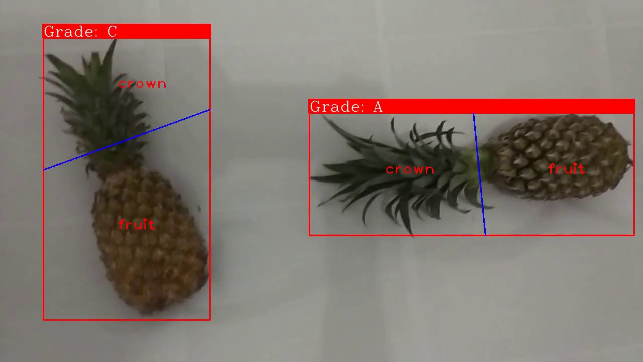 Pineapple Grading Software Based on Ripeness Index - YouTube