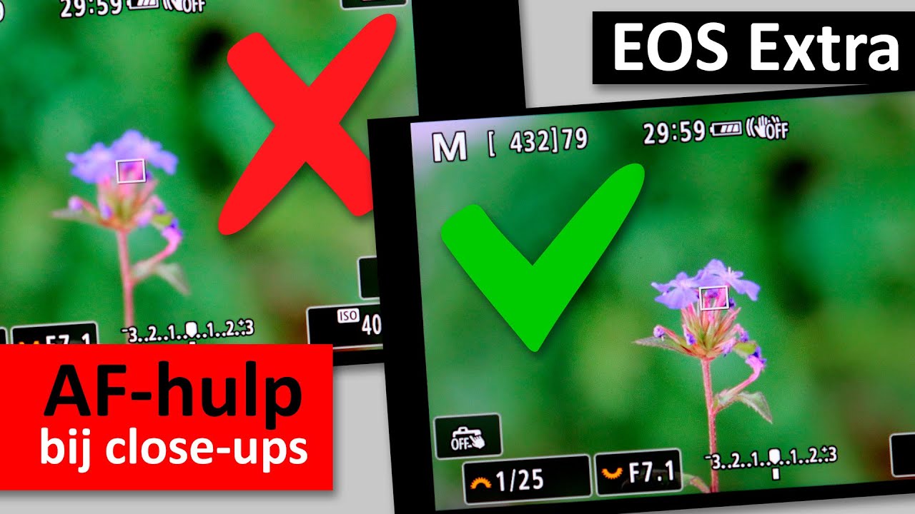 EOS Extra | AF-hulp bij close-ups (Dutch) - YouTube