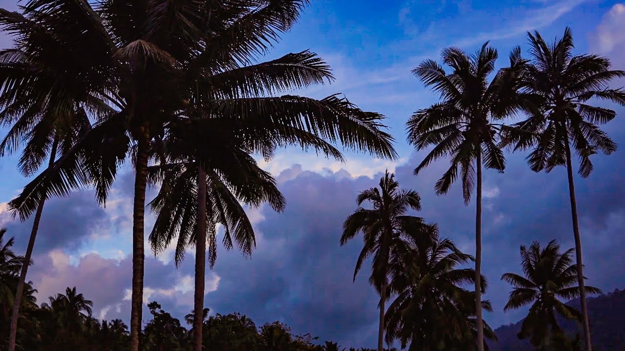 Tropical Beach Ambience on a Island in Thailand with Ocean Sounds For ...