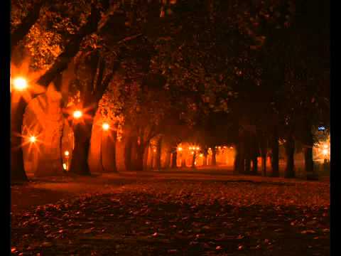 burhan majid zangy talafon   YouTube