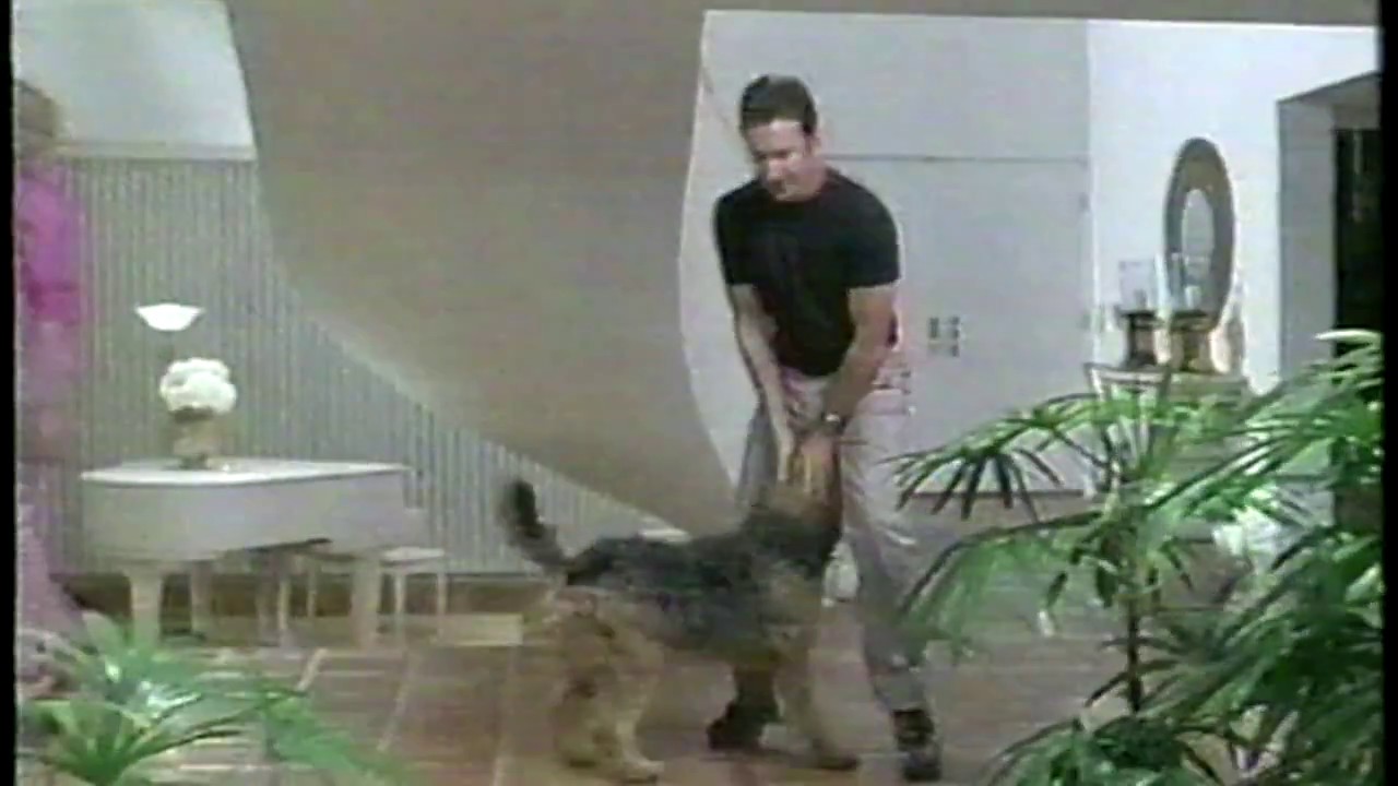 Big Trouble movie Trailer (2002) Tim Allen - YouTube