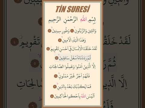 Tin Sûresi