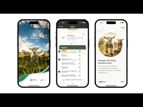 Lambing Planner app explainer video - YouTube