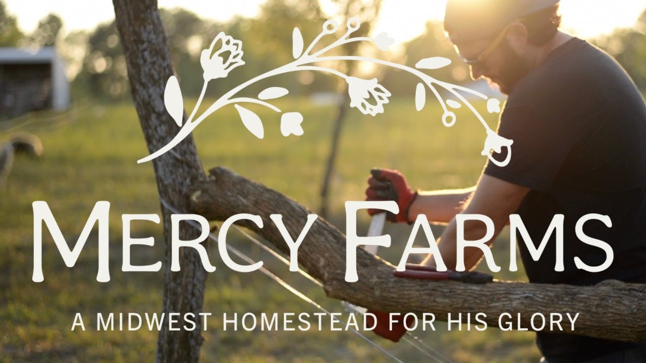 A Day In The Life On Mercy Farms - YouTube