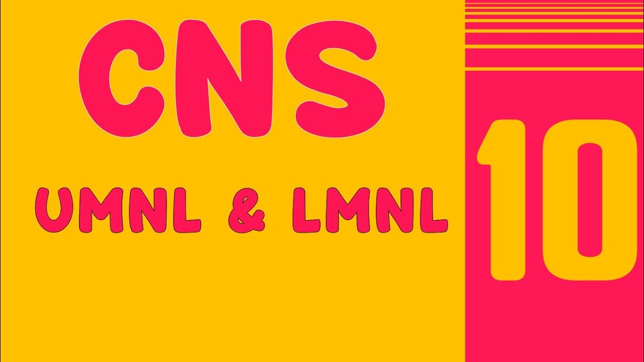 Lecture 10 UMNL and LMNL - YouTube