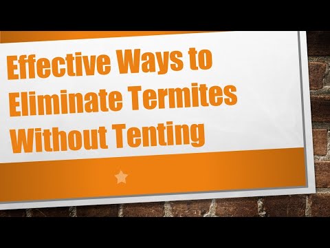 How To Eliminate Termites Without Tenting