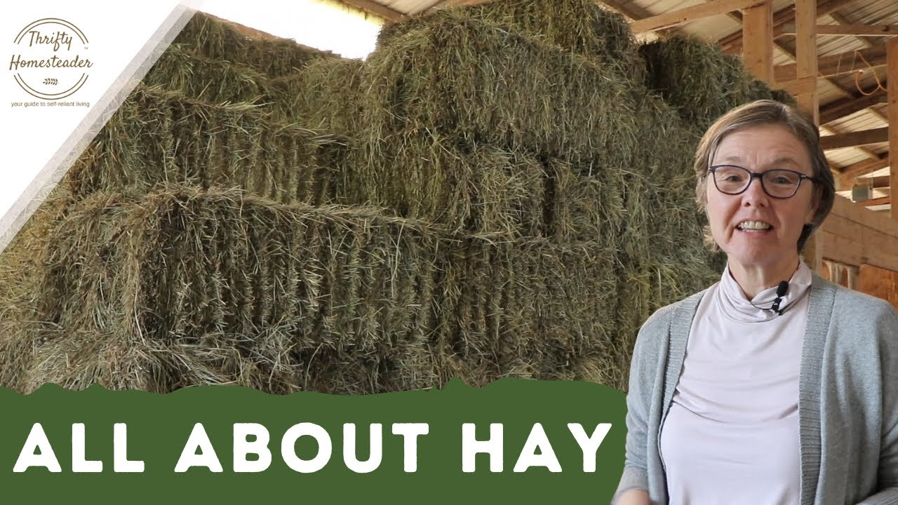 All About Hay - YouTube