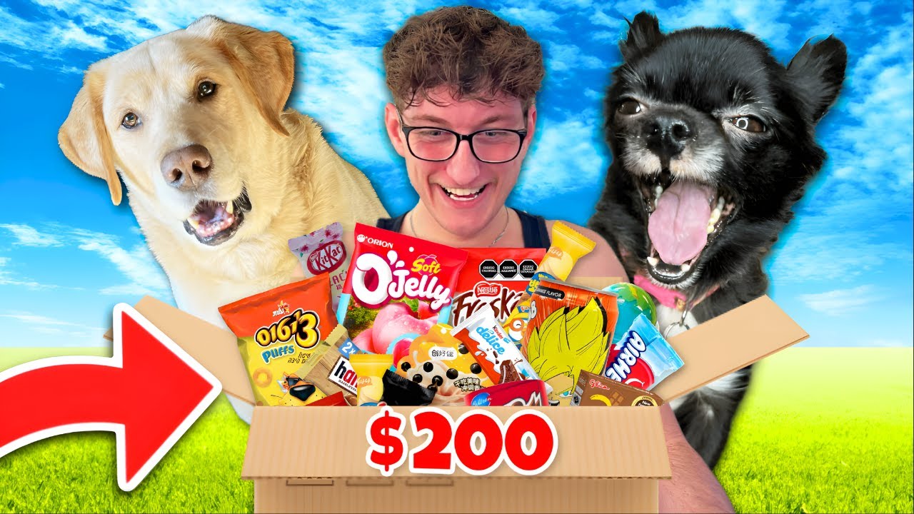 JOSH PUDDIN AND DOZER OPEN A $200 EXOTIC SNACK MYSTERY BOX - YouTube
